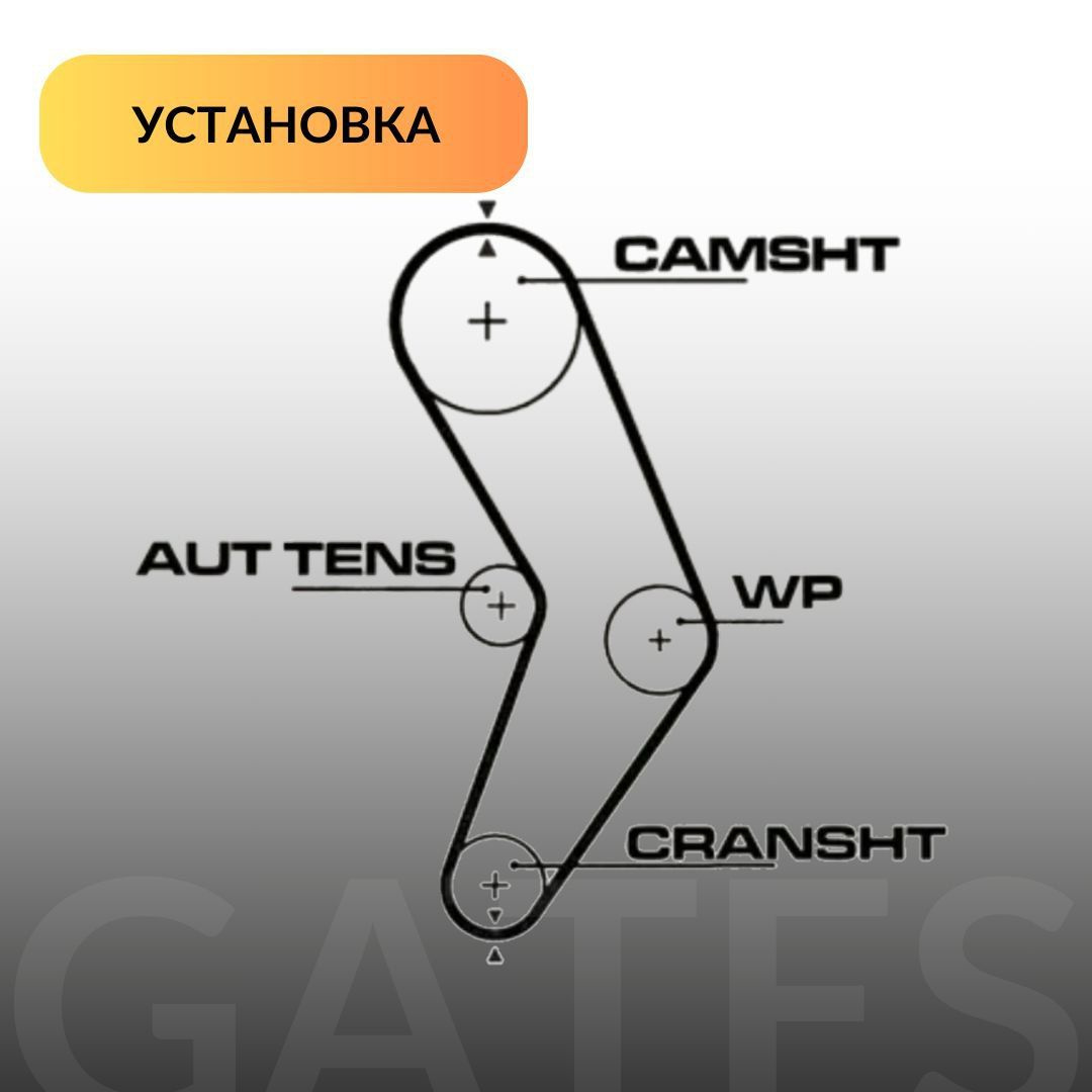 Комплект ГРМ с помпой подходит для: Logan 1,4-1,6 8кл Фаза 2 Ларгус 8 ...