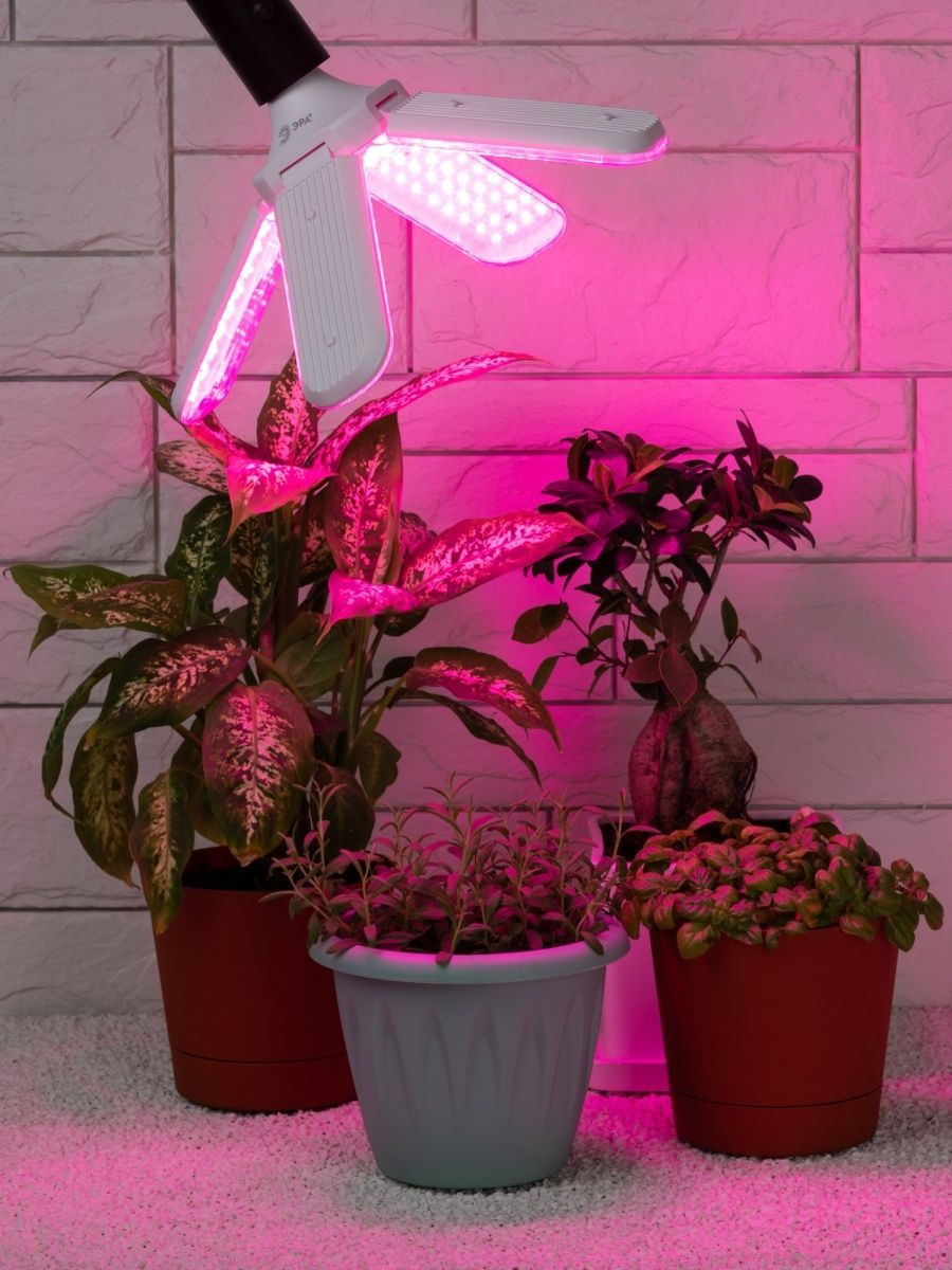 Фитосветильник для растений рассады цветов ЭРА FITO-36W-RB-E27-FOLD 4-х лепестковая светодиодная ...