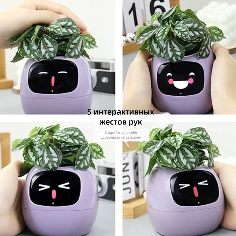 Умный AI робот-горшок LVY для выращивания растений с интерактивными ...