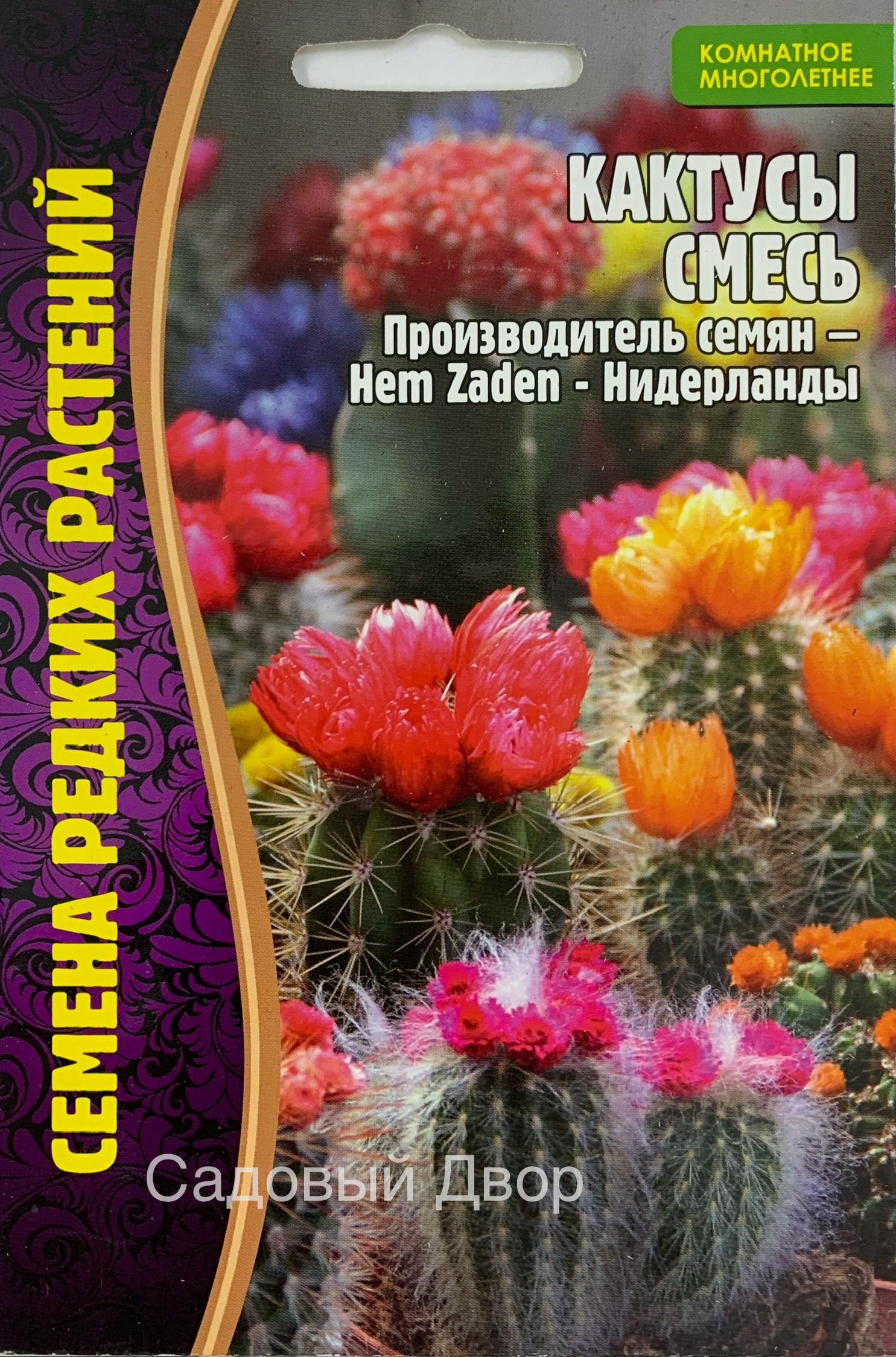 Кактус Григорьев Комнатные растения - купить с бесплатной доставкой в ...