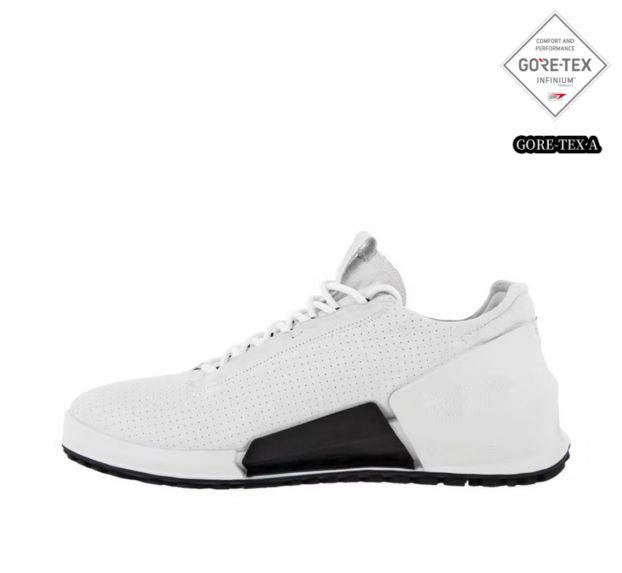 Кроссовки ECCO BIOM LITE - купить с доставкой по выгодным ценам в ...