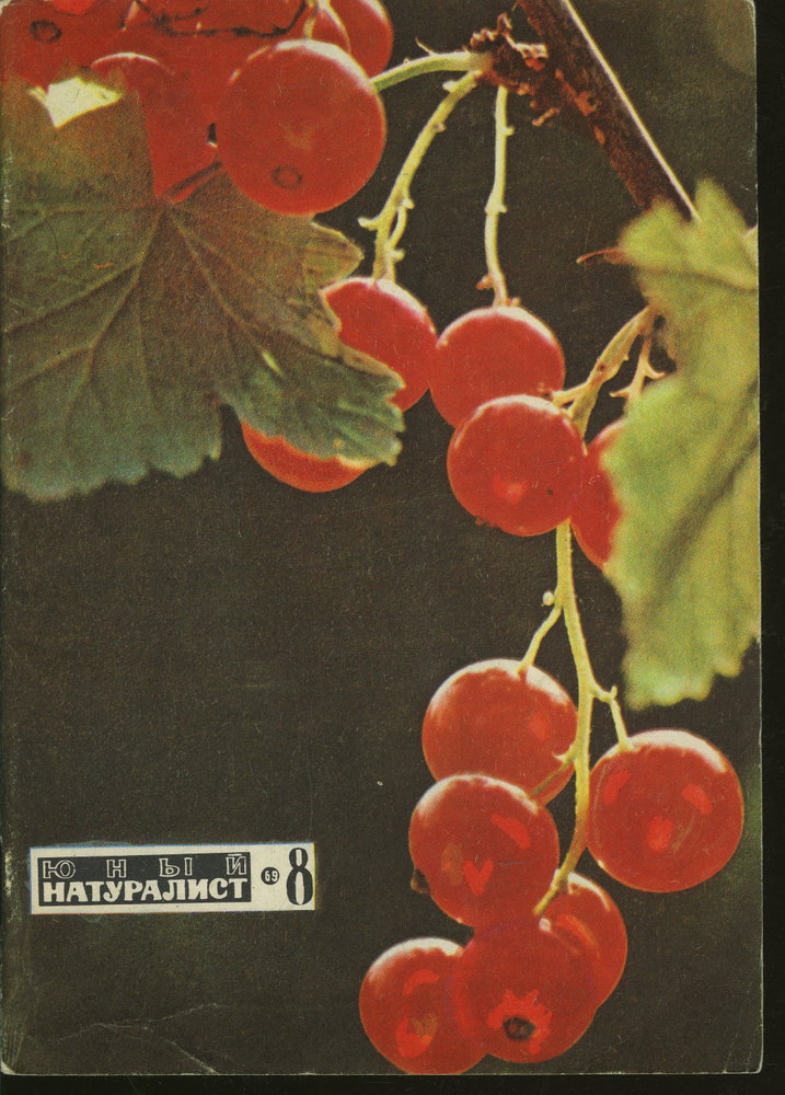Журнал Юный натуралист 1969 №8 - купить с доставкой по выгодным ценам в ...