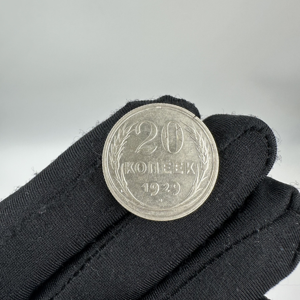 Коллекционная Монета 20 копеек 1929 год СССР - купить в интернет-магазине OZON с быстрой ...