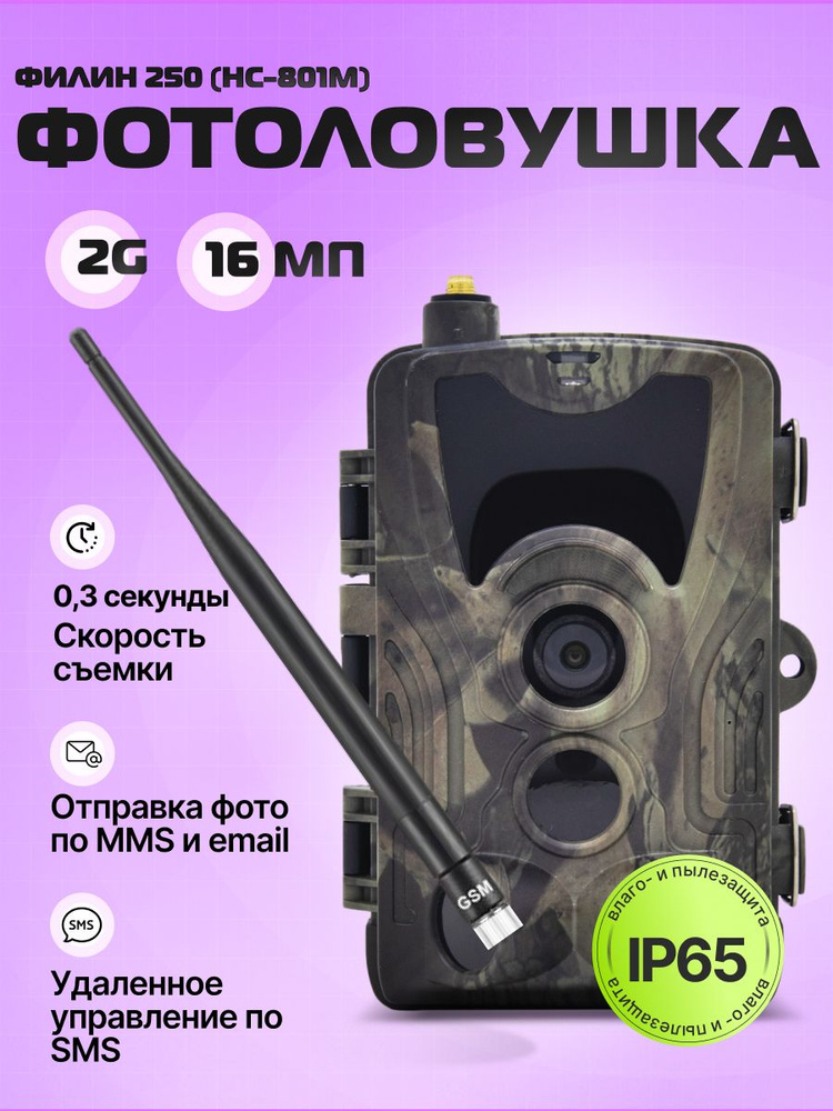 Фотоловушка Сокол 250 с функцией отправки SMS/MMS/2G (HC-801M ...