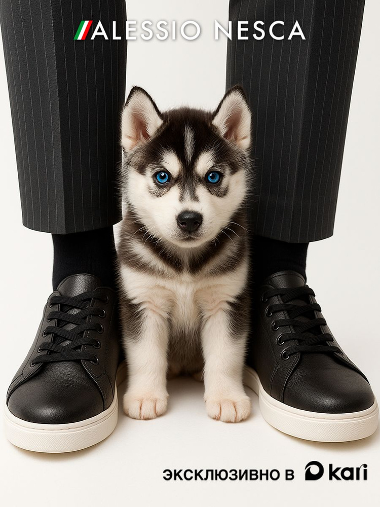 Кроссовки Мальчики Alessio Nesca Натуральная кожа, Нубук Бег, Волейбол ...