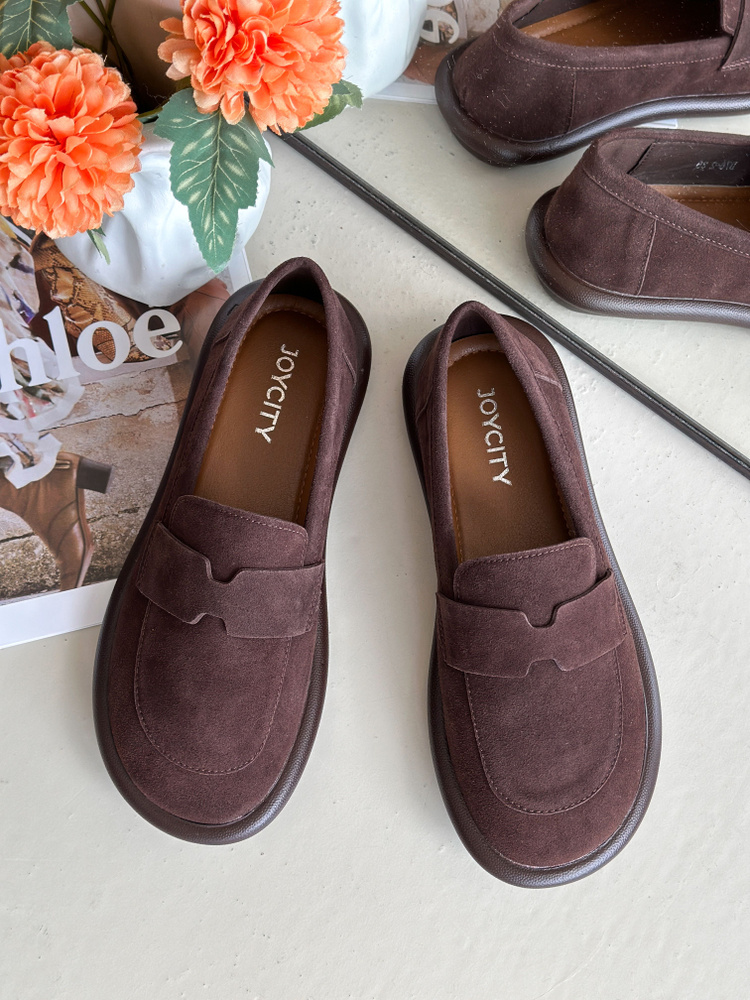 Лоферы Женский JOYCITY коричневый, размер 36 На любой сезон 6 Без застёжки Китай купить c ...