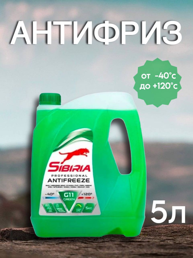 SIBIRIA Антифриз -40 зеленый G11 5л купить на OZON по низкой цене (3069228522)