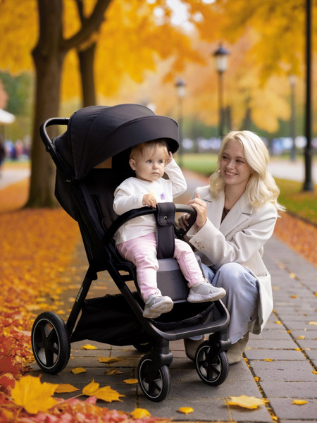 Коляска прогулочная Pituso "Camino Plus", всесезонная, черный купить на OZON по низкой цене ...