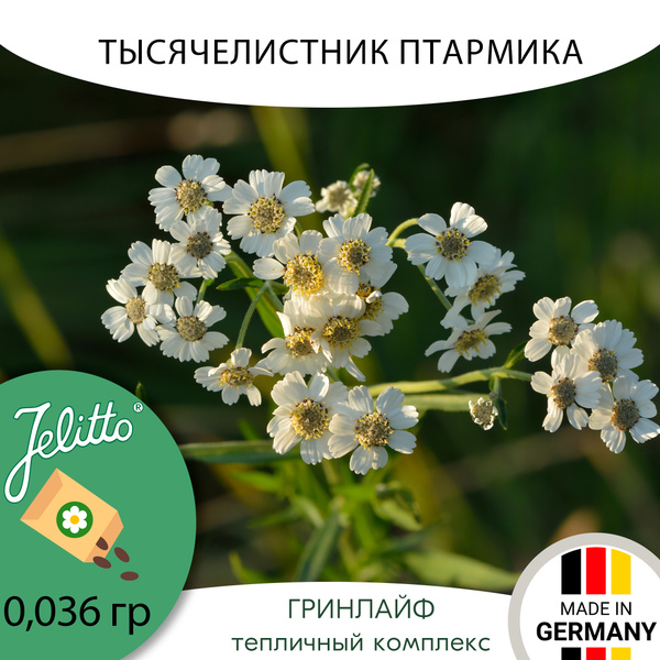 Jelitto Тысячелистник птармика_AA044, 0.036 г - купить с бесплатной ...