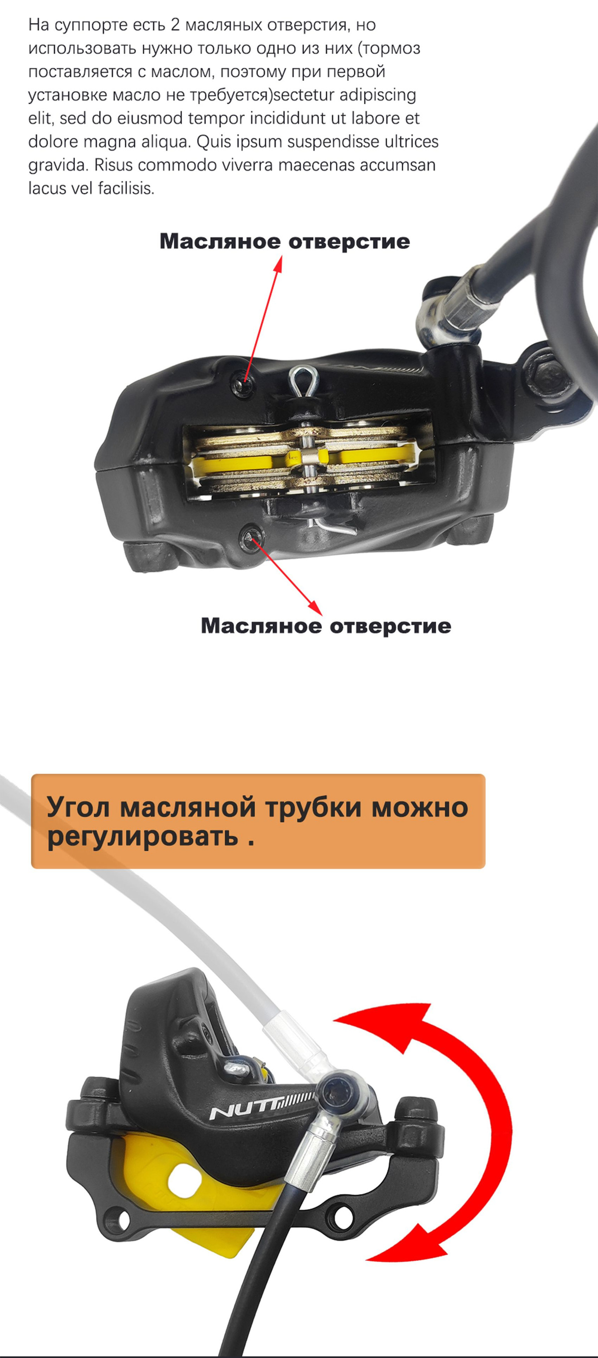 NUTT Y-5 4-поршневой скутер , 160 мм дисковый гидравлический тормоз ...