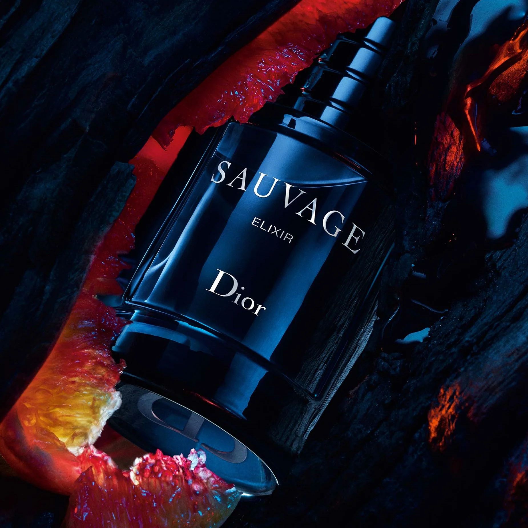 Dior Духи /.CD SAUVAGE ELIXIR EDP 60 ML Original Perfume 60 мл купить ...