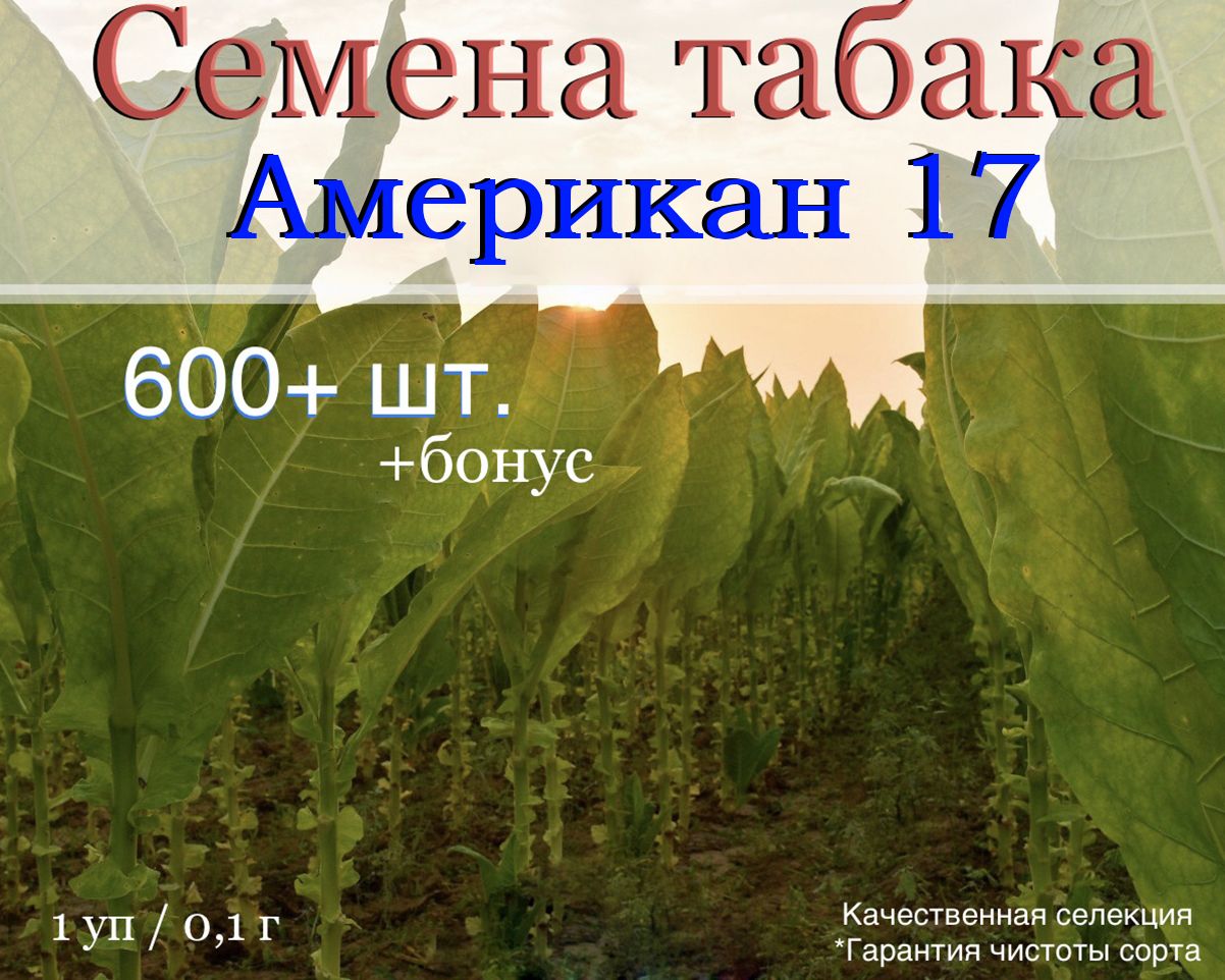 Andrey Masloff - Company табак... - купить с бесплатной доставкой в ...