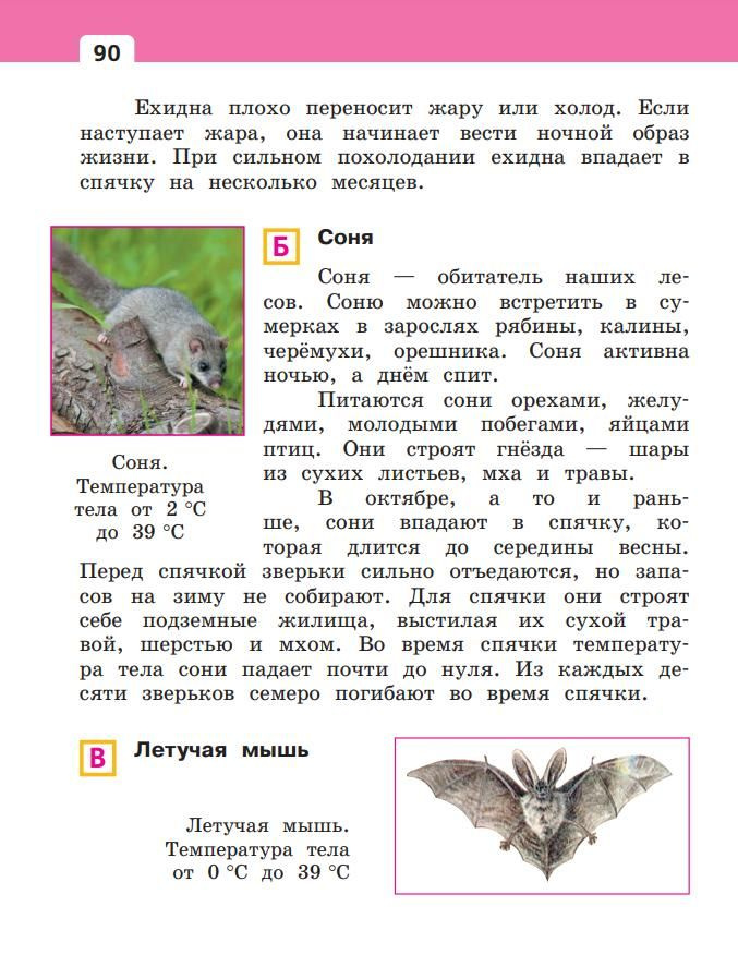 Учебное пособие Просвещение Окружающий мир. 2 класс. В 2 частях. Часть ...