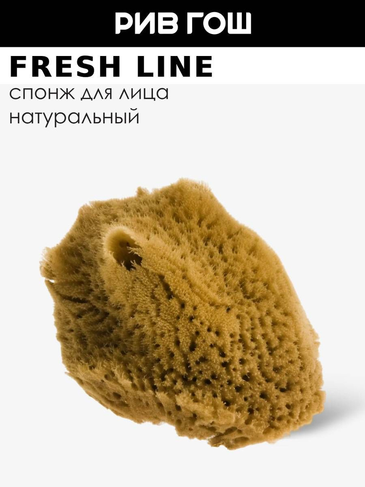 FRESH LINE Спонж для лица натуральный купить на OZON по низкой цене ...