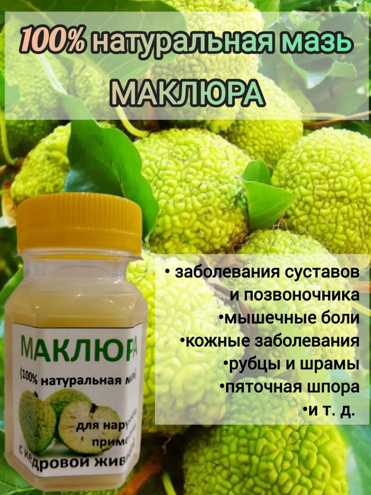 Мазь Маклюра 100 мл. купить на OZON по низкой цене (3169133139)