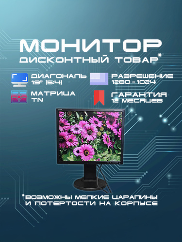 60 отзыв на NEC 19" Монитор MultiSync EA190M, 1280x1024, 75 Гц, TN, VGA, DVI-i, черный от ...