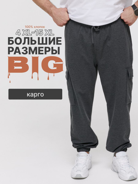 Брюки Мужской MR. BIGMAN джоггеры темно-серый Хлопок, Полиэстер Спортивный, размер 66 Завязки ...
