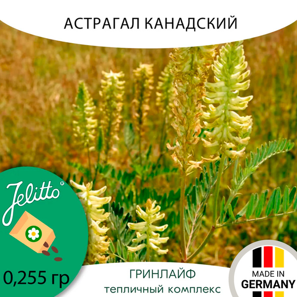 Jelitto Астрагал_AB144, 0.255 г - купить с бесплатной доставкой в OZON ...