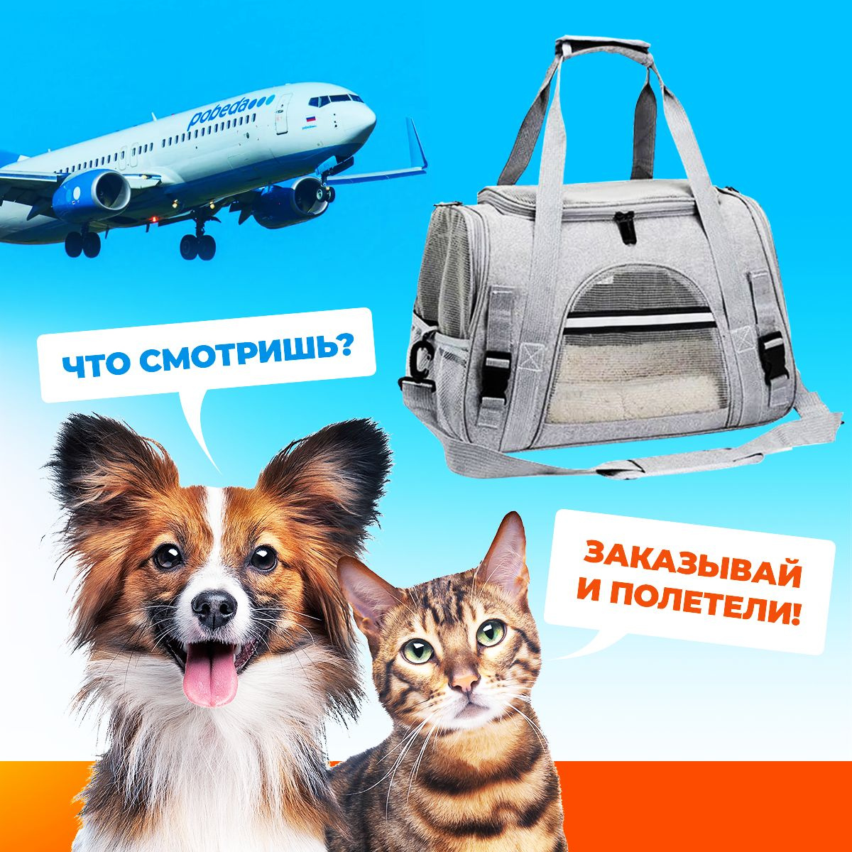 Переноска для кошек и собак мелких пород в самолет складная серая ...