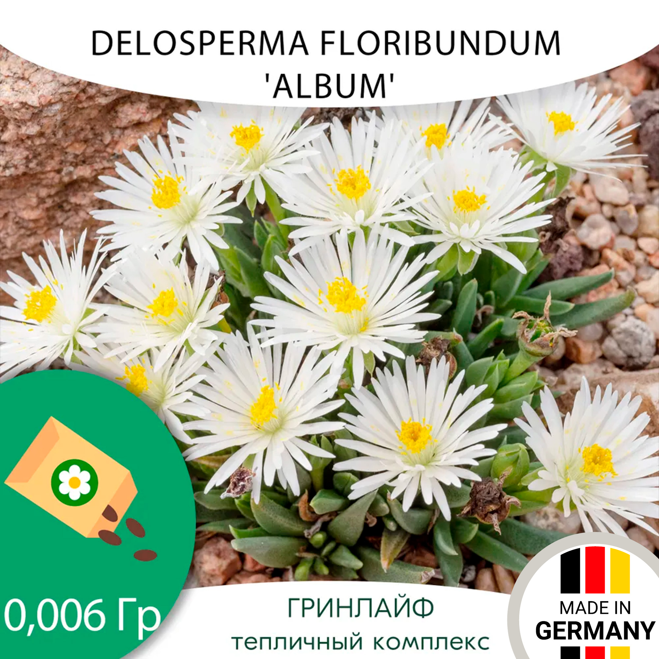 Jelitto DELOSPERMA - купить с бесплатной доставкой в OZON (1992849406)