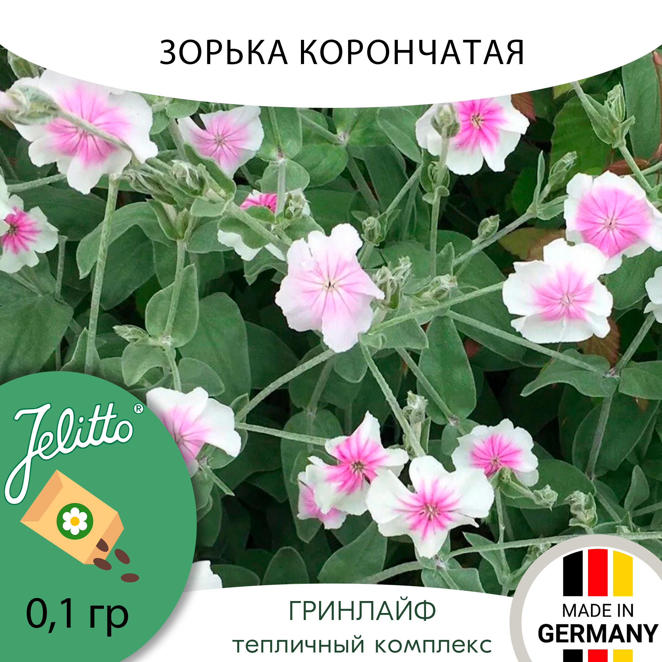 Jelitto Зорька корончатая_LA480, 0.1 г - купить с бесплатной доставкой ...