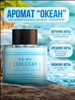 Ароматизатор автомобильный, Cerulean ocean, 50 мл купить на OZON по ...