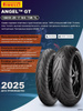 Angel GT Мотошины 180/55 R17 73 W купить c доставкой на OZON по низкой ...