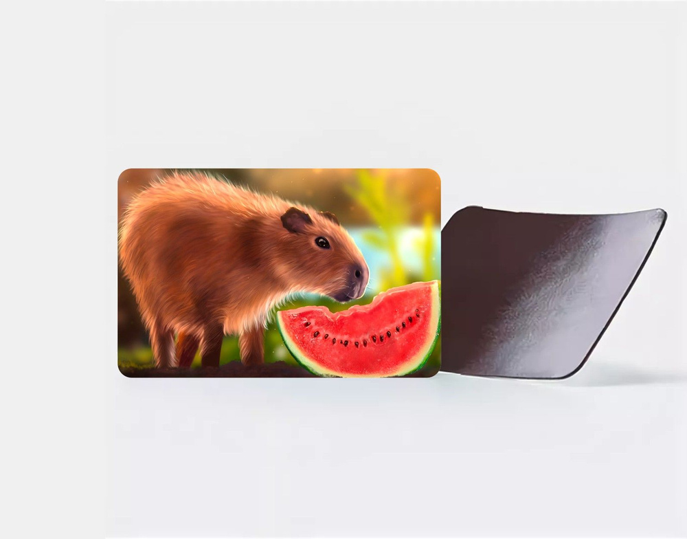 Магнит виниловый MIGOM "Capybara v2, Капибара" - v0003 Magnet-venil-260424-3 - купить по ...