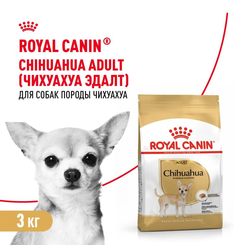 Сухой корм для собак Royal Canin, породы Чихуахуа, 500 гр купить на ...