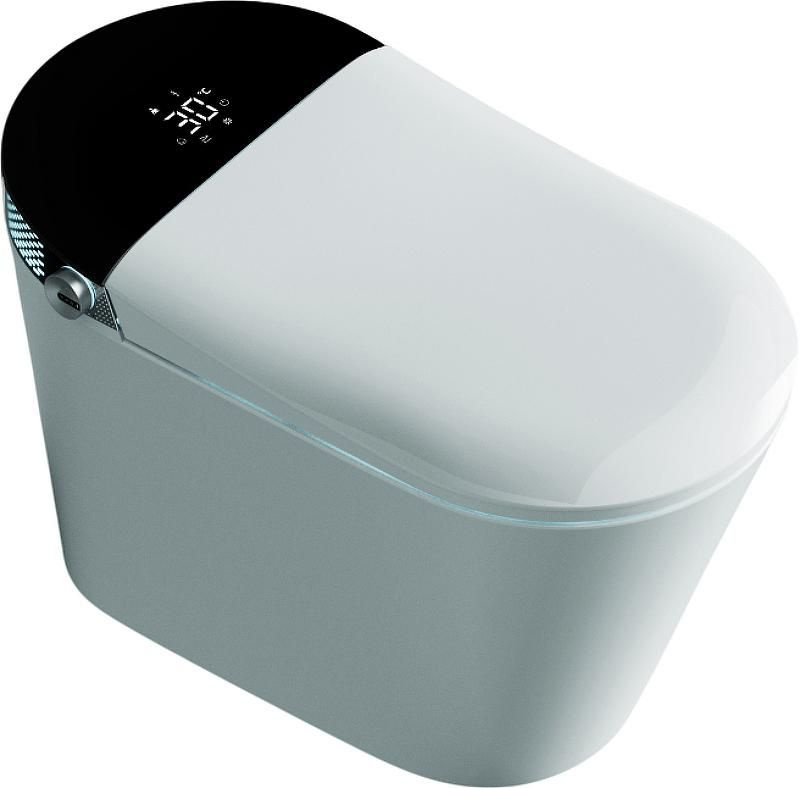Унитаз биде Timo TE-741B с сиденьем Микролифт купить на OZON по низкой ...