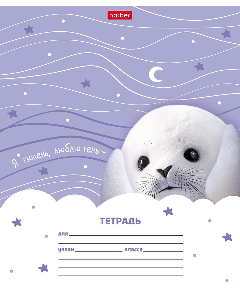 Набор тетрадей Hatber 12 листов формата А5, в линейку, 5 дизайнов/10 тетрадей -тюЛень- купить на ...