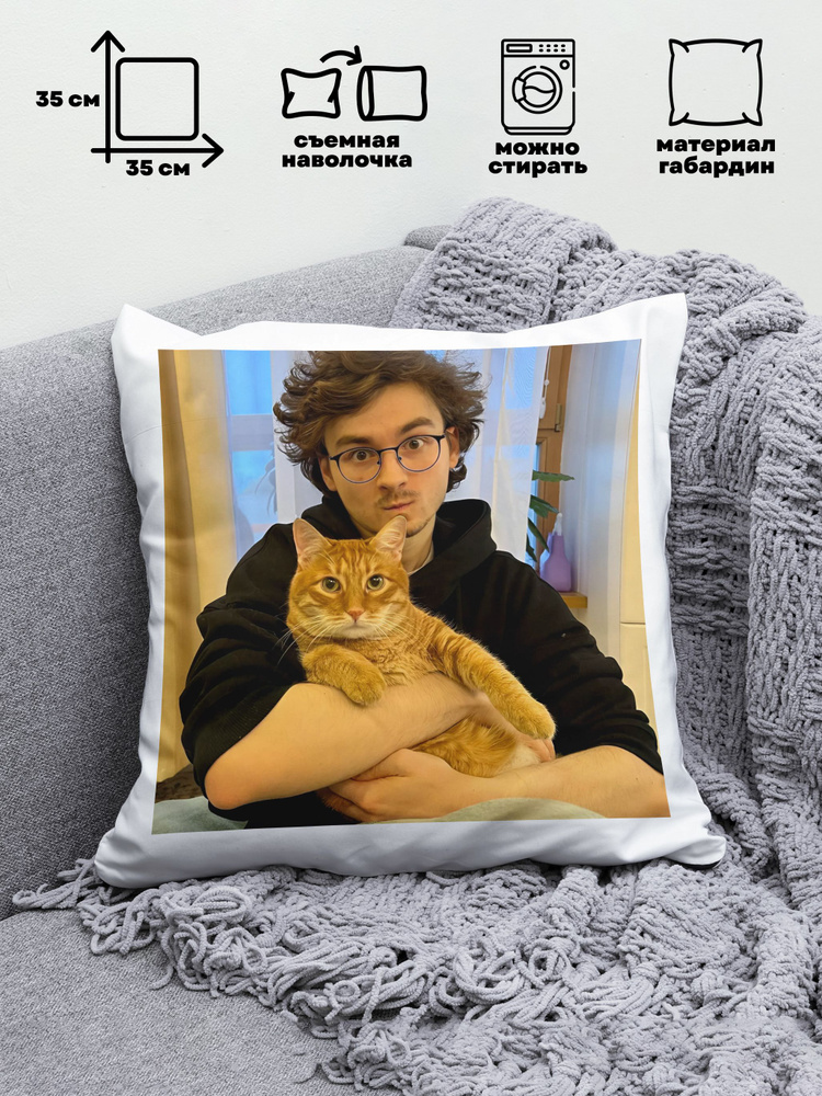 Подушка Брайн Мапс / TheBrianMaps купить на OZON по низкой цене (2104283028)