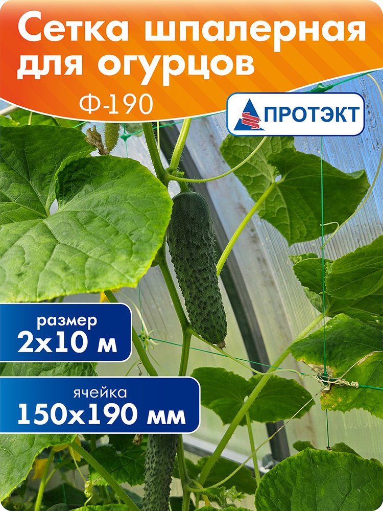 Сетка для огурцов шпалерная, винограда, гороха, 2*10 метра, ячейка 15* ...