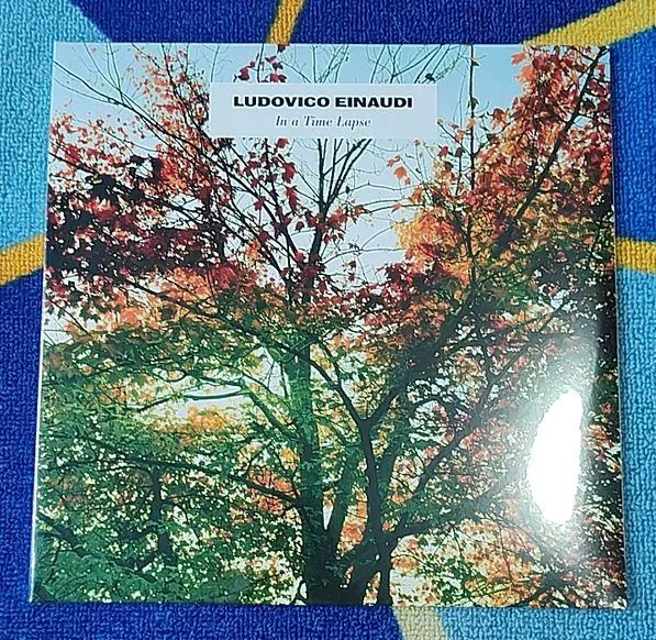 Виниловая пластинка Ludovico Einaudi In A Time Lapse ,2LP купить на ...