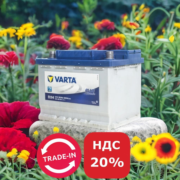 Аккумулятор VARTA D24 60 Ач Blue Dynamic 560408054, 242x175x190 ...
