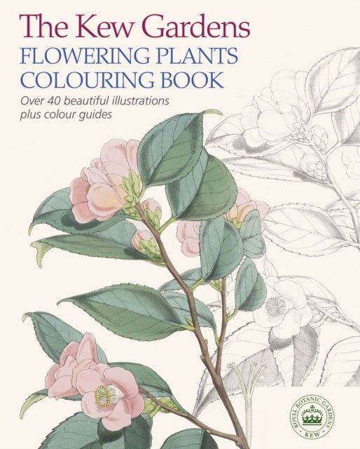 Kew Gardens Flowering Plants Colouring Book купить на OZON по низкой ...