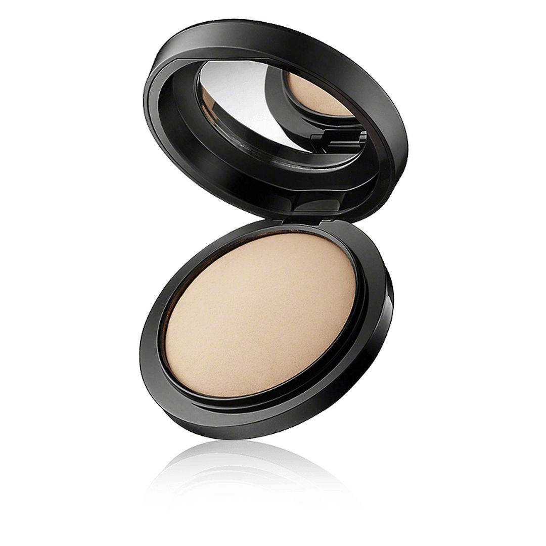 Пудра MAC Mineralize Skinfinish Natural Light Plus купить на OZON по ...