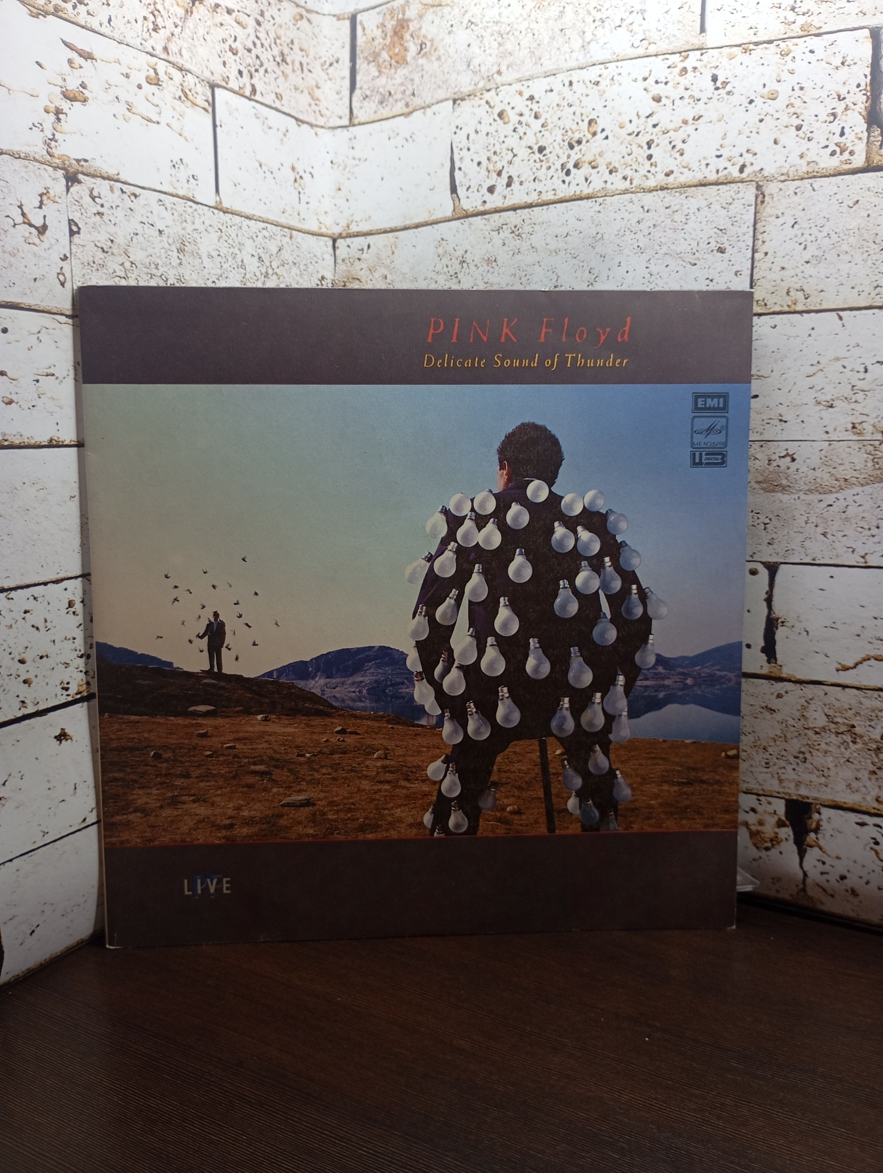 Pink Floyd - Delicate Sound Of Thunder Выпуск 1988 купить на OZON по ...