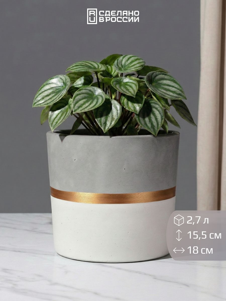 Miss Pots Кашпо 2.7 л, 15.5 см, 1 шт, цвет белый купить на OZON по ...