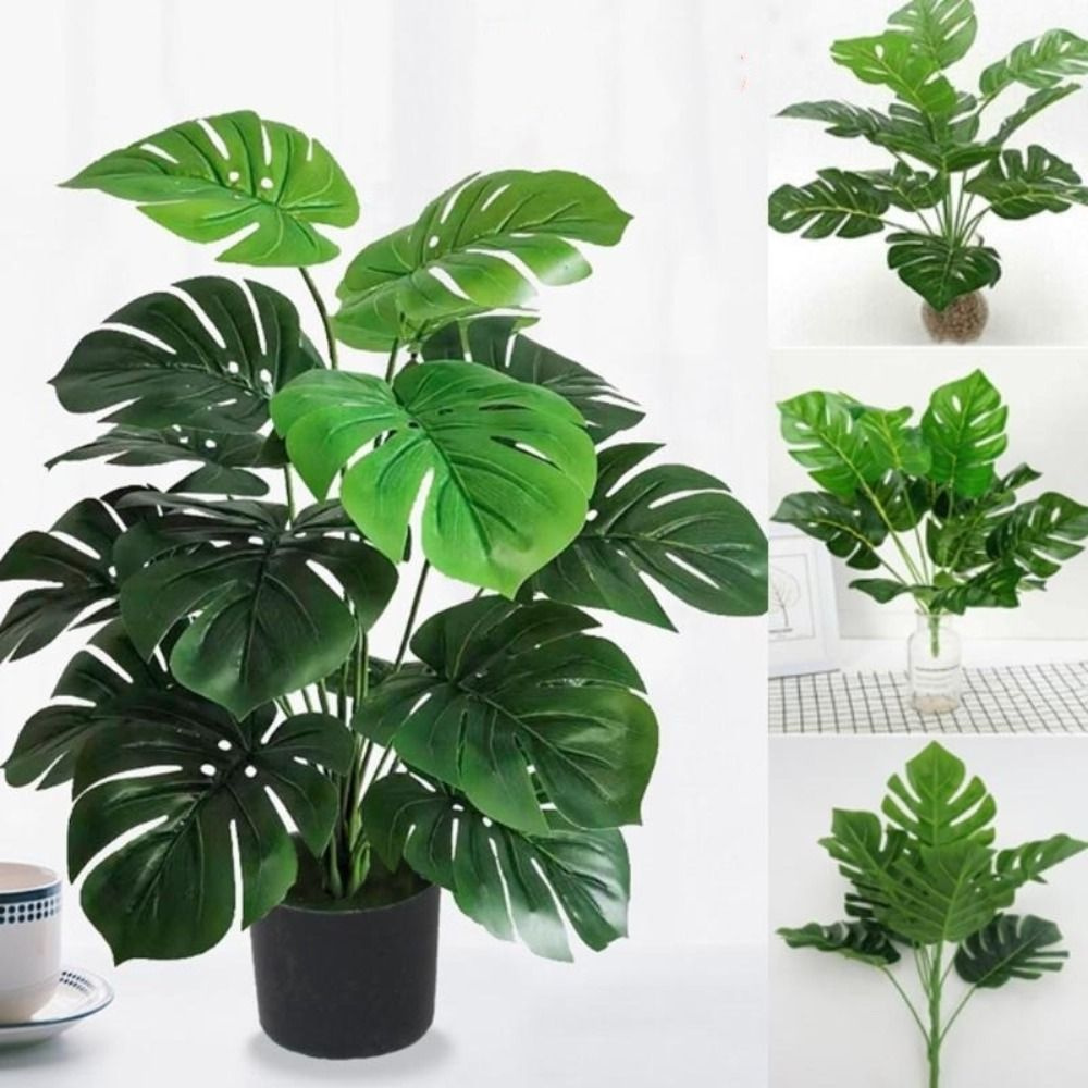 Стабилизированные цветы, 32 см, 38 гр, 1 шт купить на OZON по низкой цене (1484982743)