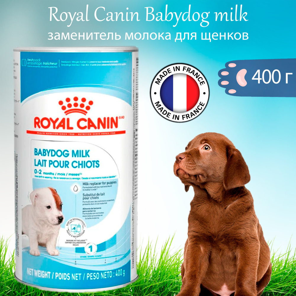 Royal Canin Babydog milk - заменитель молока для щенков с рождения ...