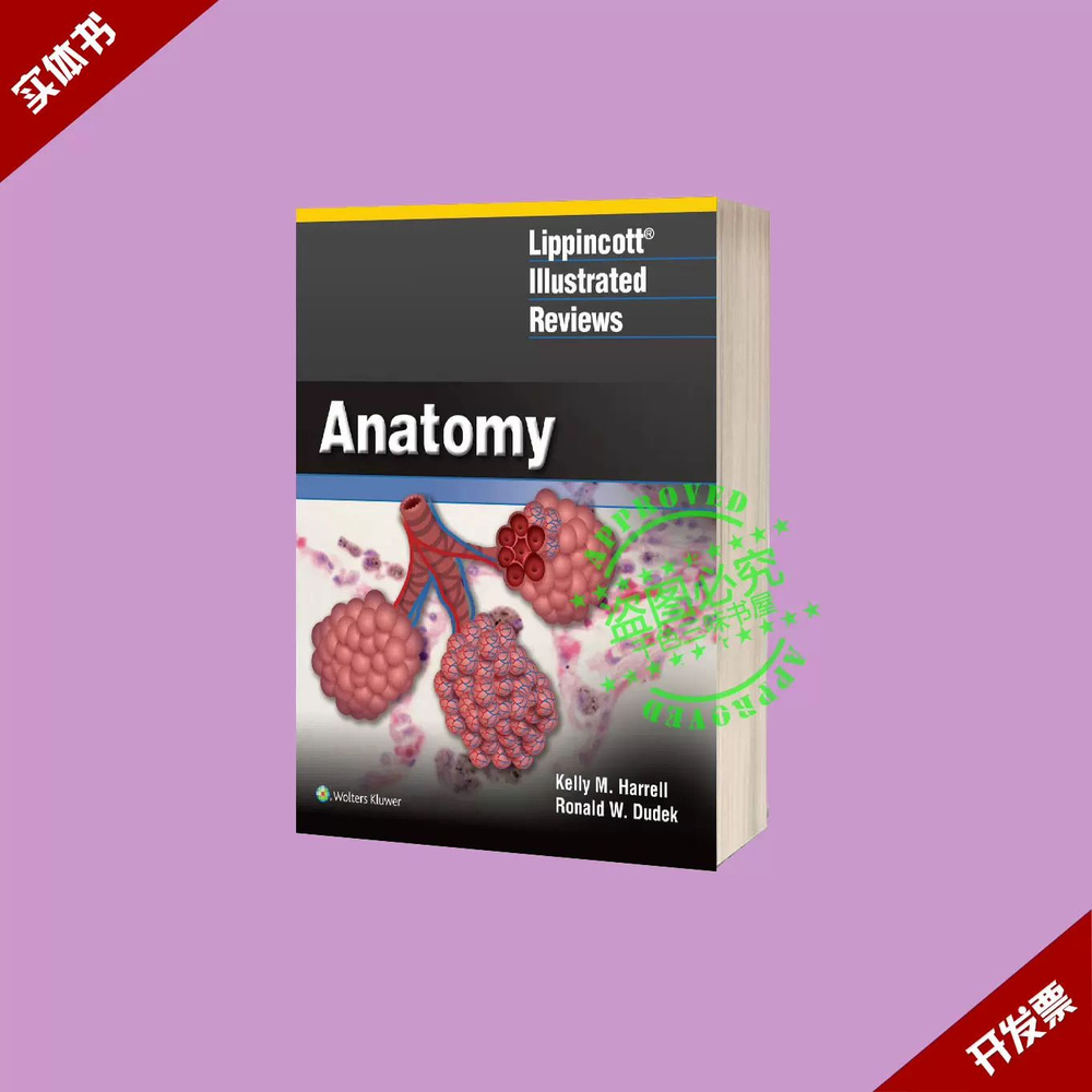 Lippincott Illustrated Reviews: Anatomy First Edition English Book ...