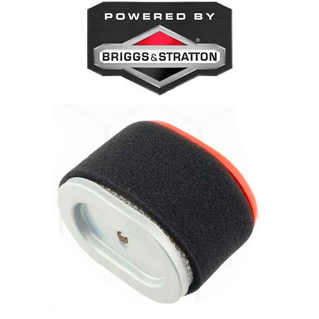 Фильтр воздушный (Оригинал) двигателя Briggs & Stratton 796970 - купить ...