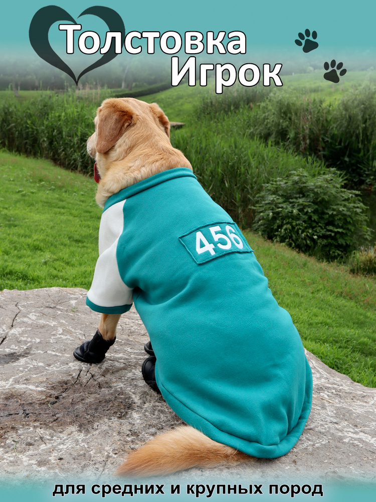 Толстовка Rexy crew "Игрок", одежда для собак средних и крупных пород, размер 8XL купить на OZON ...