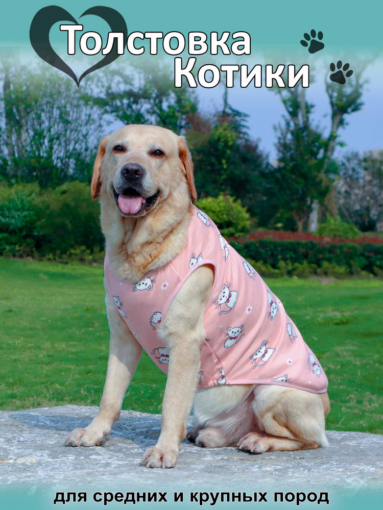 Толстовка "Котики" для собак средних и крупных пород, размер 7XL, Rexy crew купить на OZON по ...