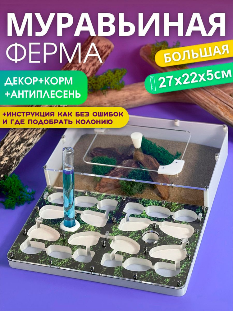 Большая муравьиная ферма AntBerry. ПОЛНЫЙ комплект. Формикарий для ...