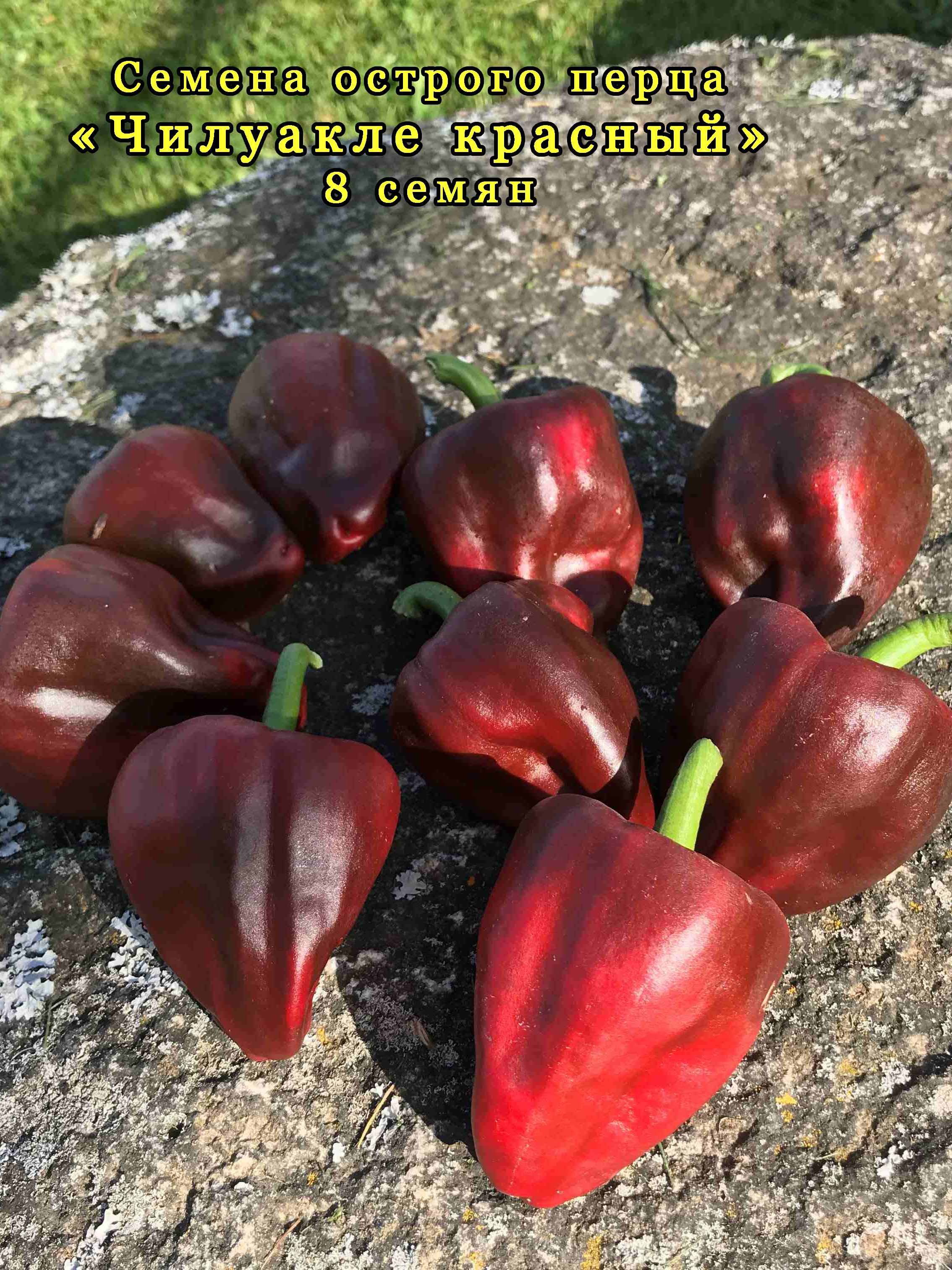Перец острый Острый перец_красный - купить с бесплатной доставкой в ...