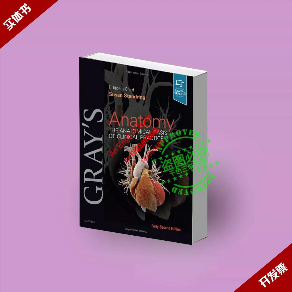Gray's Anatomy: The Anatomical Basis of Clinical Practice 42 English ...