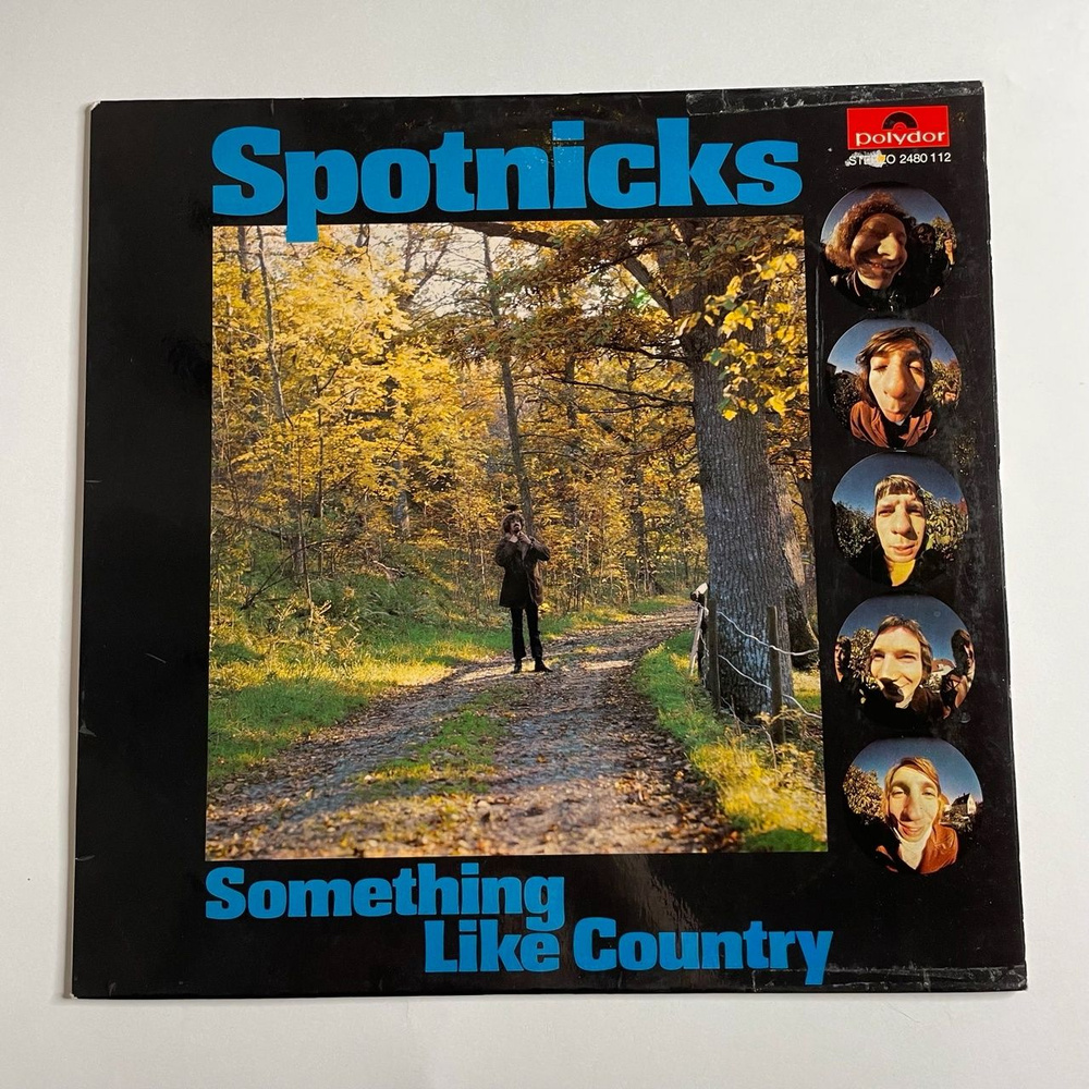 Винтажная виниловая пластинка LP Spotnicks Something Like Country (Germany 1972) купить на OZON ...