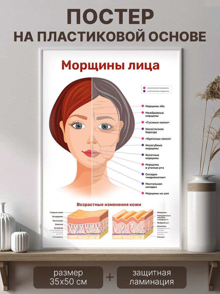 Постер морщины лица человека, 50 35 купить c доставкой на OZON по ...
